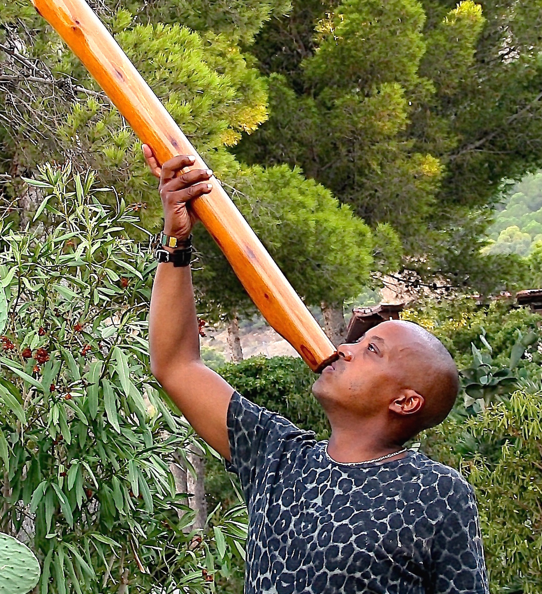 Sylvestre Soleil - Didgeridoo et Invité - Eco Festival Le Rêve de l ...